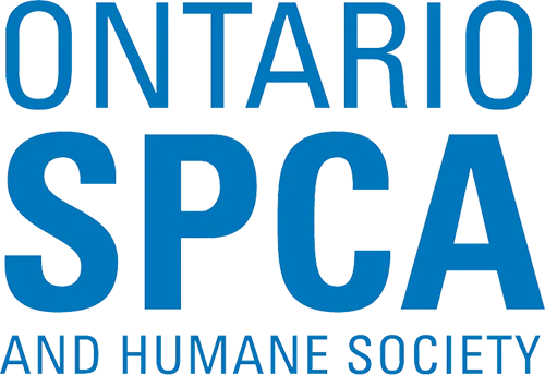 OSPCA - PET of the week